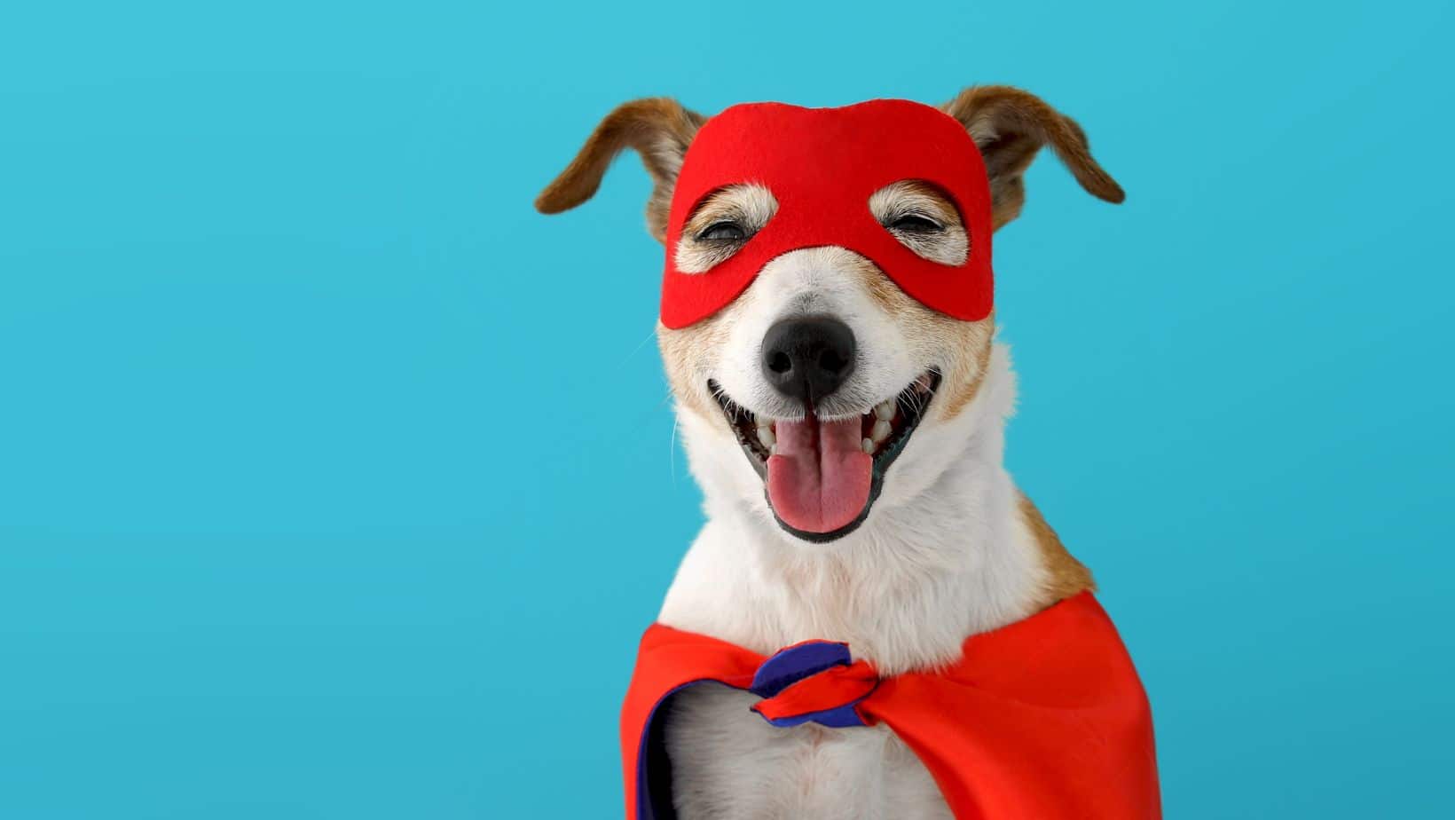 Why content is the superhero of an effective digital marketing campaign ...